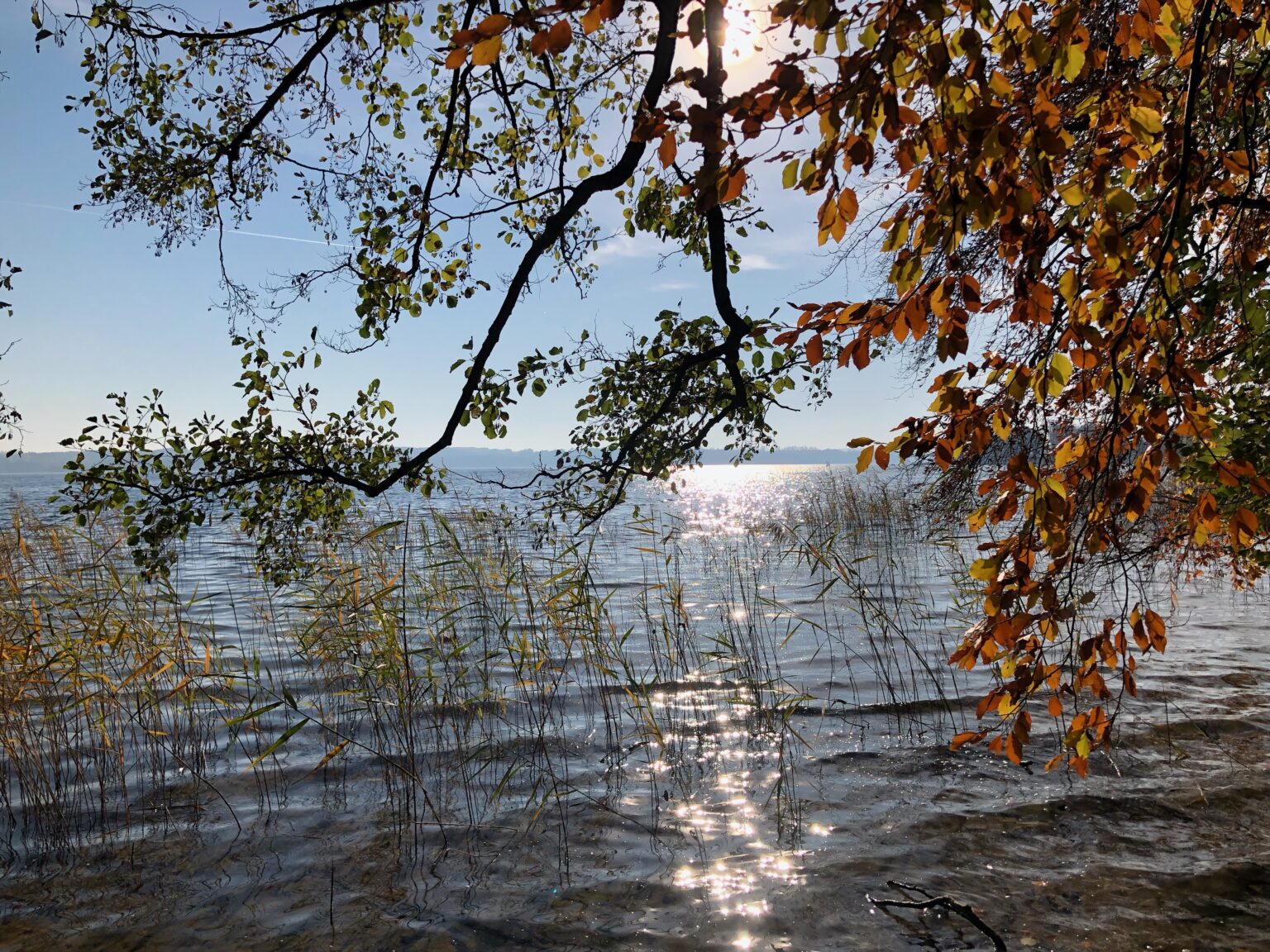 Radtour Neustrelitz–Tollensesee–Neubrandenburg